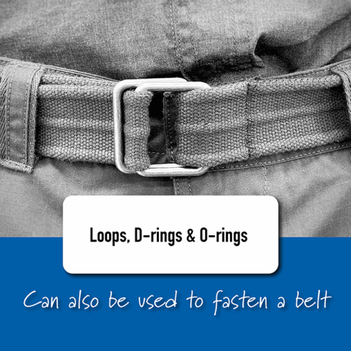 Buckles – Haesloop Agencies